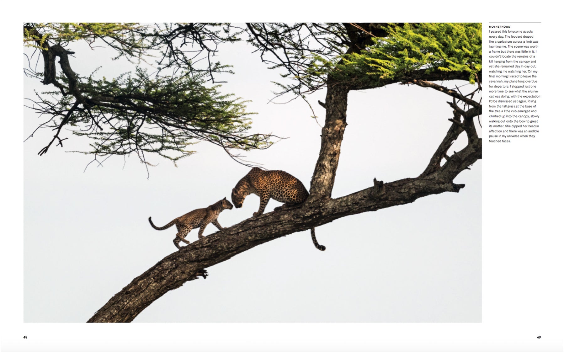 Jason Edwards - National Geographic Photographer