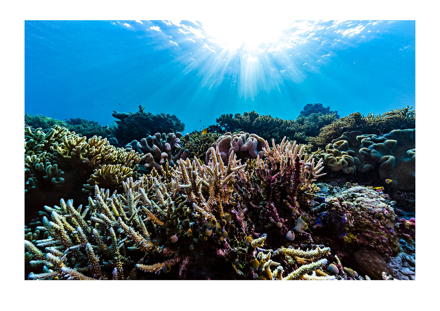 Jason Edwards - National Geographic Photographer – Jason Edwards ...